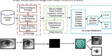figure 1 from machine learning based iris liveness identification using