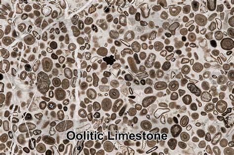 Oolitic Limestone Thin Section 18x Oolitic Limestone Chemical