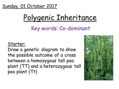 Edexcel Snab Biology Topic 3 Voice Of The Genome Topic 3c