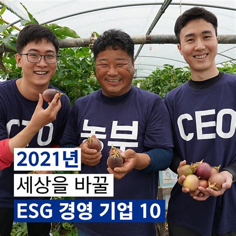 Sparklabs 스파크랩 최근 국내 기업은 물론