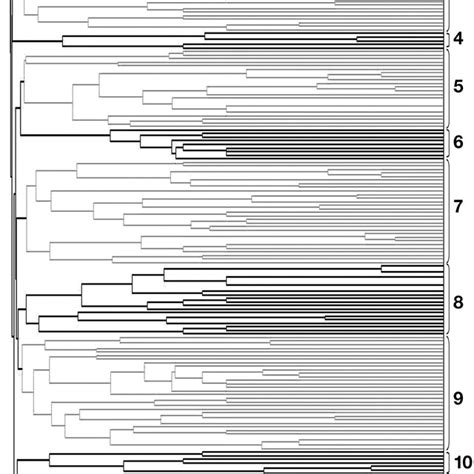Average Linkage Cluster Analyses Of Association Halfweight Association