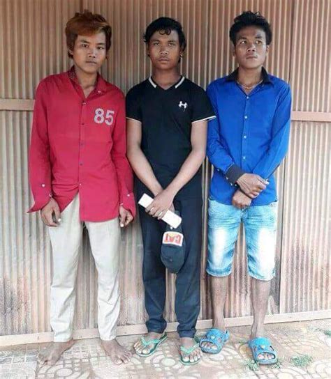 ពលរដ្ឋខ្មែរ៣នាក់ឆ្លងដែនខុសច្បាប់កាប់ឈើក្រញូង