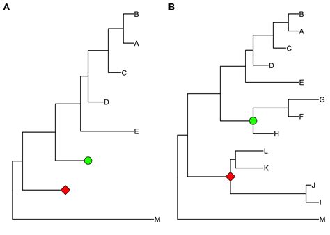 Ggtree Elegant Graphics For Phylogenetic Tree Visualization And Annotation