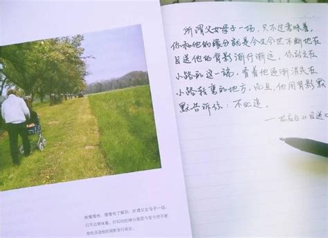 龍應台作品目送經典精彩句子6 每日頭條