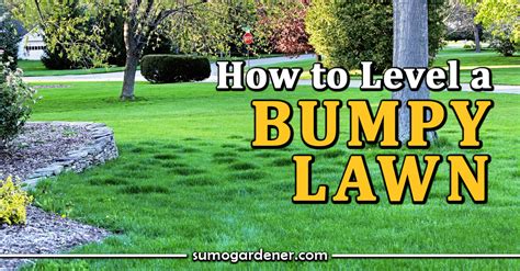 How To Level A Bumpy Lawn Causes And Fixes Sumo Gardener