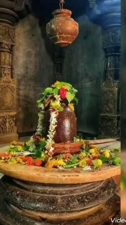 मेरे जीवन के बाबा बस इतनी सी हकीकत हैं जय शिव शंकर महादेव 🥰🥰🙏🙏📿📿🌹💐