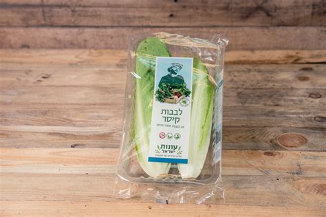 לבבות קיסר עונות ישראל