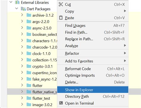 Could Not Find Bincreatedart In Package Flutternativesplash · Issue