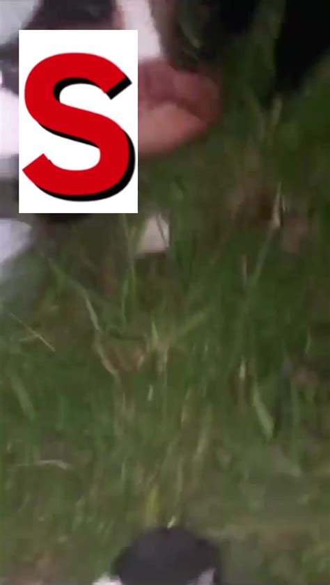 Stripped After Party Thisvid Com