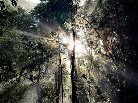 Mengenal Desa Wisata Tebat Lereh Pagar Alam Masuk 50 Besar ADWI 2022