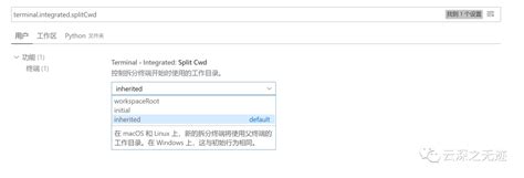 Ctrlshiftl指定选择 Vscodevs Code终端 Csdn博客 Ctrlshiftl指定选择 Vscodevs Code终端 Csdn博客