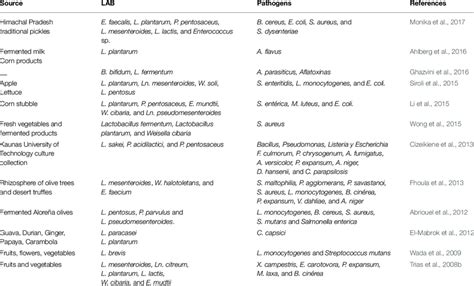 Antimicrobial Activity Of Lactic Acid Bacteria Lab Isolated From