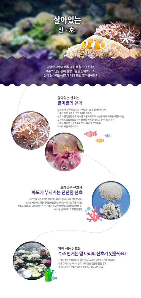 아쿠아리스트 토크 프로그램ㆍ이벤트 롯데월드 아쿠아리움