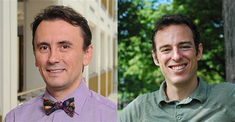 Dan Nicolae Interim Chair Of The Department Of Statistics News Physical Sciences Division