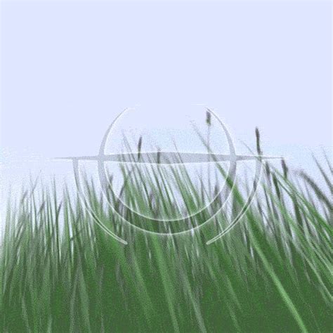 Second Life Marketplace Sds Windy Grass Animated Textures