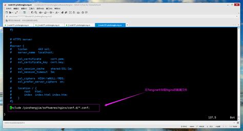 Tengine Nginx