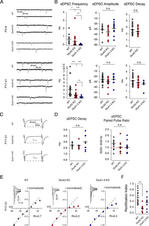 Ampar Subunit Loss Decreases The Frequency Of Sepscs A B A