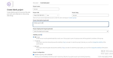 Cicd详解（九）——gitlab简单使用gitlib Setting Cicd 管理界面 Csdn博客
