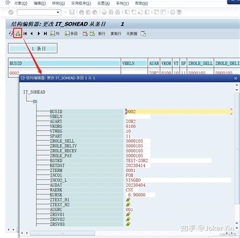 Sap 接口测试操作 业务顾问 知乎