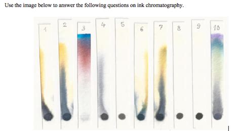 Paper Chromatography Black Ink