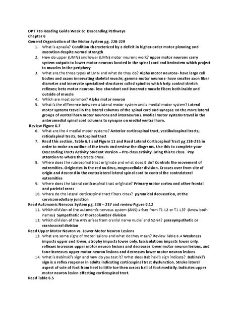 Dpt 736 Final Exam Reading Guide Descending Pathways And Motor Systems