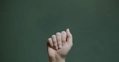 Hand Sign Language Object Detection Dataset By Rabbit