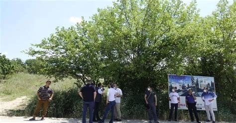 Bursada Ağaç Altına Atılmış Bebek Cesedi Bulundu Yaşam Haberleri