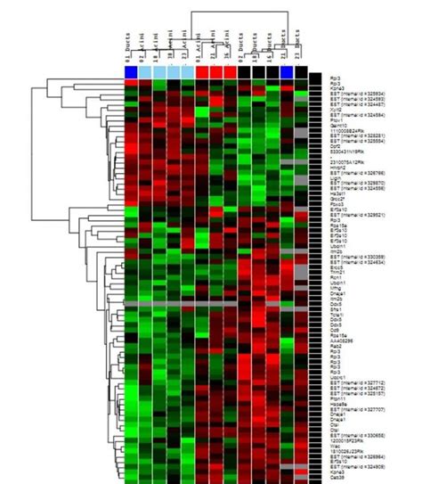 Use Of Laser Capture Microdissection And Cdna Microarrays For Analysis