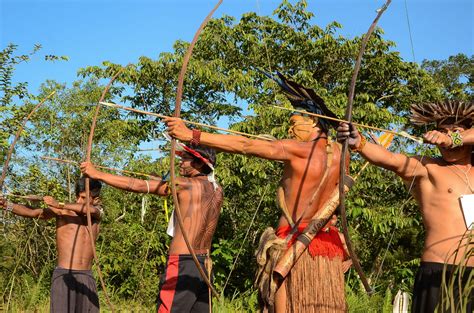 A Hist Ria Da Luta Pela Terra Dos Indios Do Litoral Cancioneiro