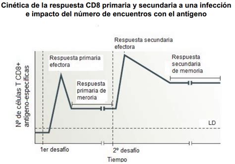 Microbiología E Inmunología Para Estudiantes De Medicina Memoria