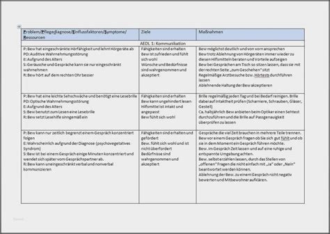 Pflegeplanung Leere Vorlage Hübsch Fantastisch Muster Pflegeplan
