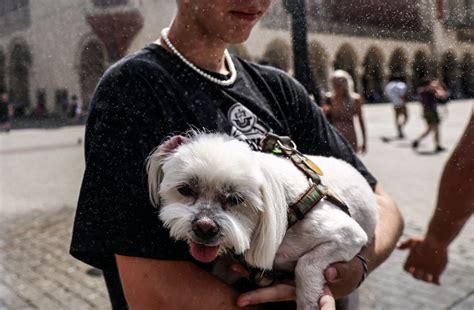 ФОТО Хэт халуун Европ