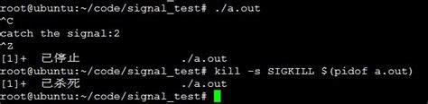 Linux C实践1：不可忽略或捕捉的信号—sigstop和sigkill Csdn博客