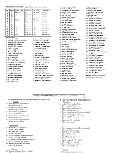 3a Declinación Descargar Gratis Pdf Roma Antigua