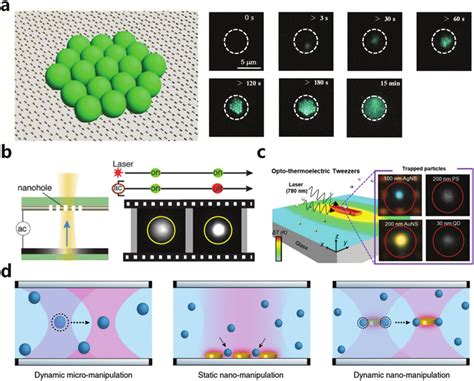 Ii Generation Of Plasmonic Tweezers A A 2d Closely Packed Assembly Download Scientific