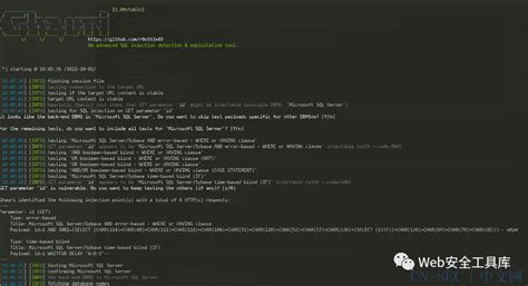 自动检测和利用sql注入工具 Cn Sec 中文网 自动检测和利用sql注入工具 Cn Sec 中文网