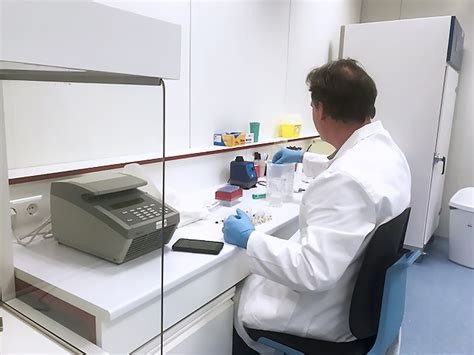 Website Interplant Roses