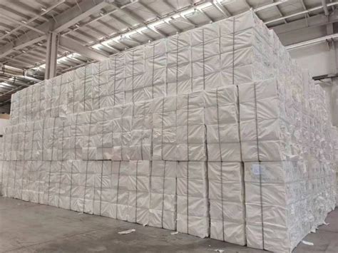 Sugarcane Bagasse Pulp Sheet Manufacturer Supplier From Rajkot