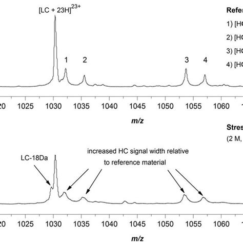 Assessment Of Her2 Asn Deamidation And Asp Isomerization Using