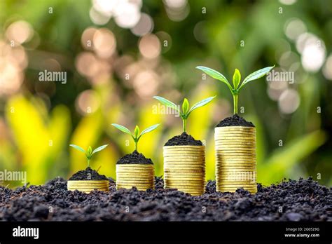 Growth Graph Trees Hi Res Stock Photography And Images Alamy