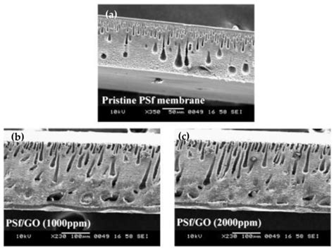 Cross Sectional Sem Illustration Of A Pristine Psf B 1000 Ppm Go