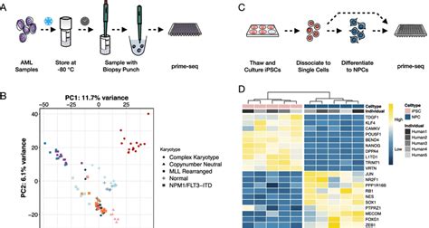 Two Exemplary Applications Of Prime Seq A Experimental Design For An Download Scientific