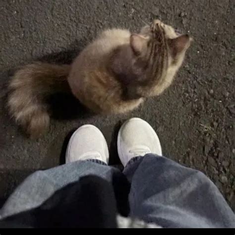 ‏𐬛וࡅ𐫥ߺߺࡅٜߺוݏࡉࡅ࡙ߺܘ߳ Youtube