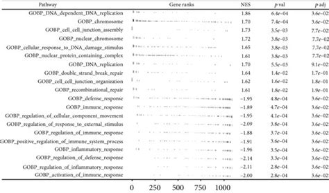 Pathway Enrichment Analysis A Gsva Analysis Indicated That The