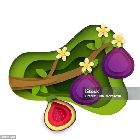 분홍색 배경에 고립 된 현대 기하학적 3d 종이 컷 스타일의 무화과와 꽃만화 나뭇가지 생생한 크리에이티브 벡터 아트 요소 추상디자인 일러스트의 미니멀리즘 컨셉 0명에 대한