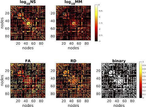 Figure 6 From Predicting Meg Brain Functional Connectivity From Microstructural Information