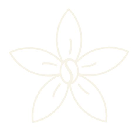 Sca Coffee Skills Program Certified Barista Training