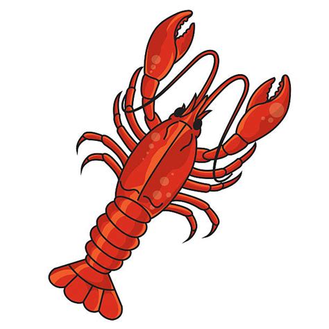 Best Crawfish Illustrations Royalty Free Vector Graphics And Clip Art