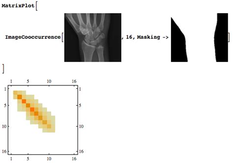 Matlab Texture Analysis On Irregular Region Of Interest Stack Overflow