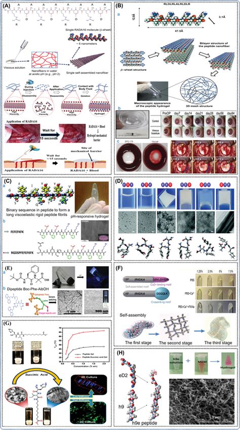 Chemical Structure And Molecular Self‐assembly Of Dsap Building Blocks Download Scientific